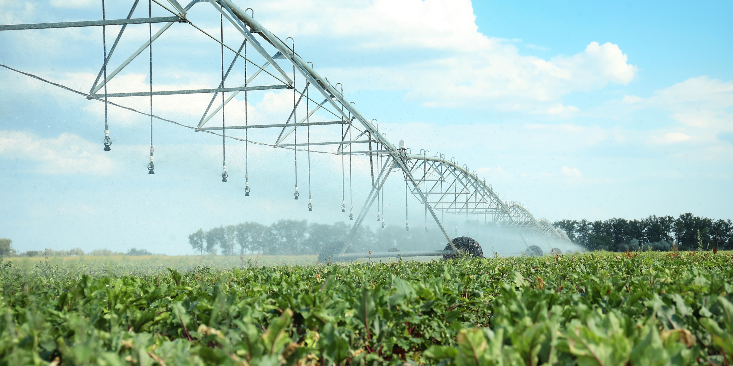Trends and Technologies in Today’s Center Pivot Irrigation Systems
